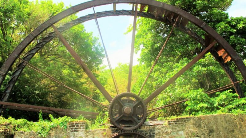 Speyside Waterwheel – ROAMTT