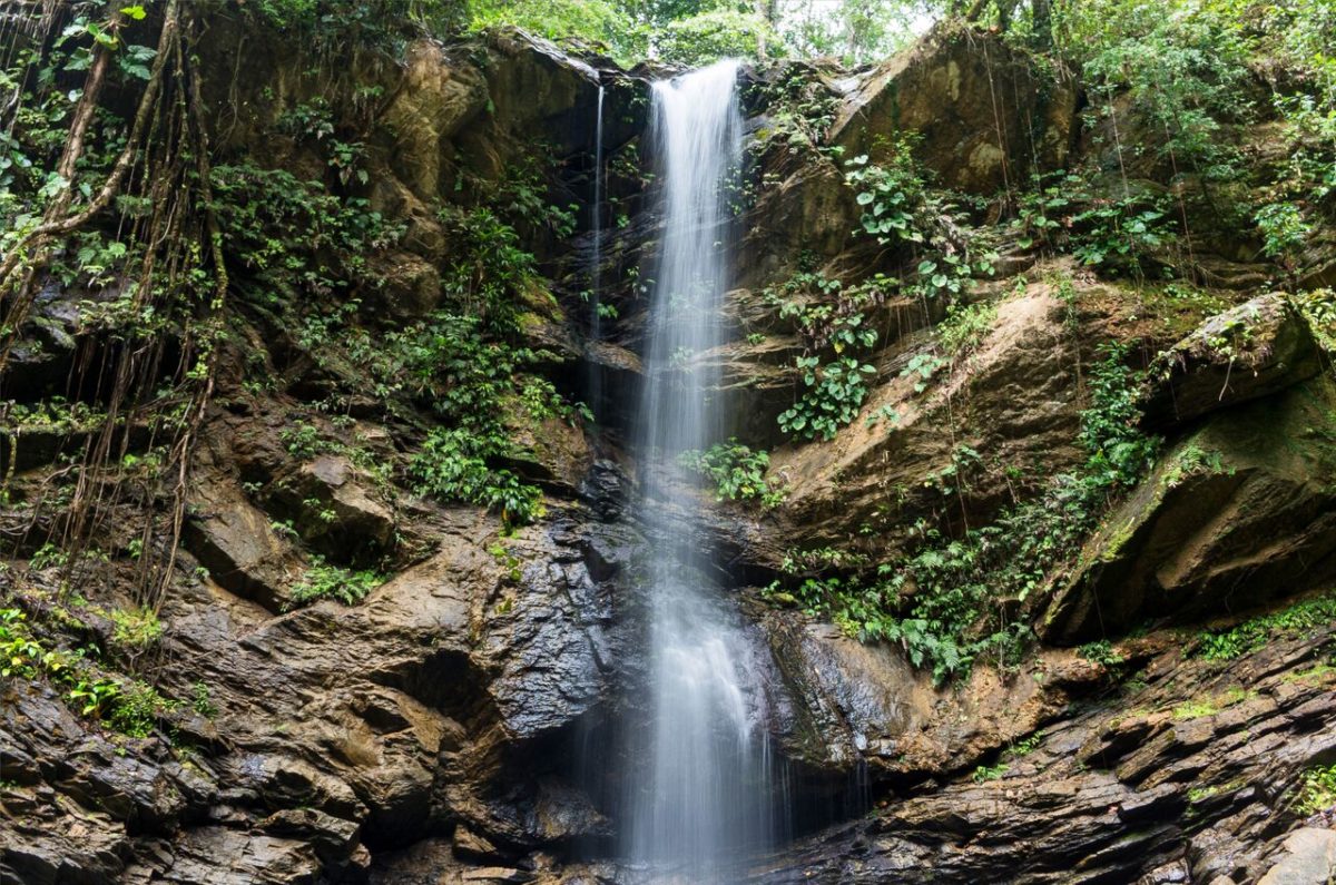 Avocat Waterfall – ROAMTT